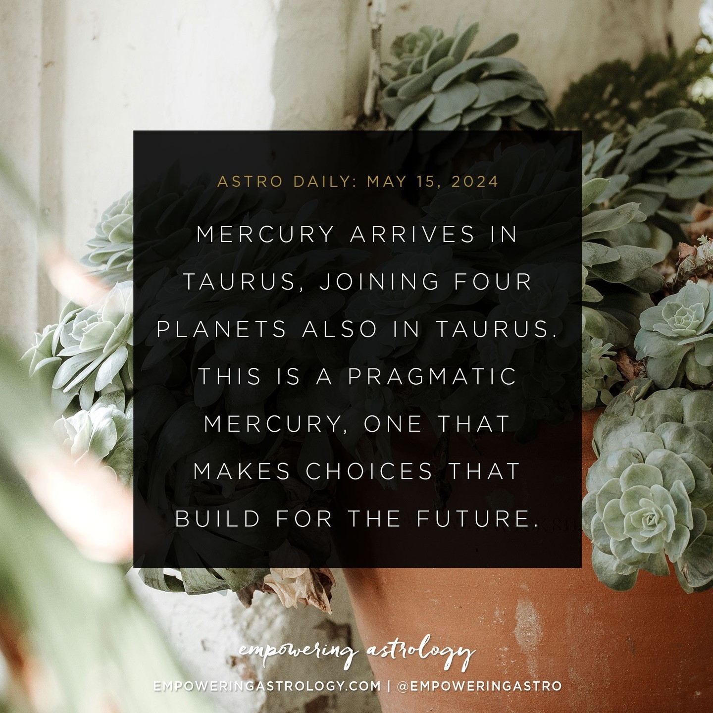 Mars in Taurus: Sign by Sign – Empowering Astrology