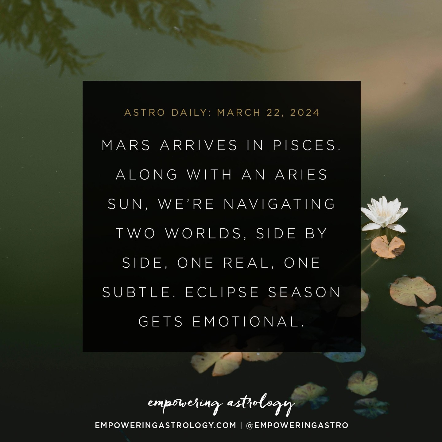 On Venus – Empowering Astrology