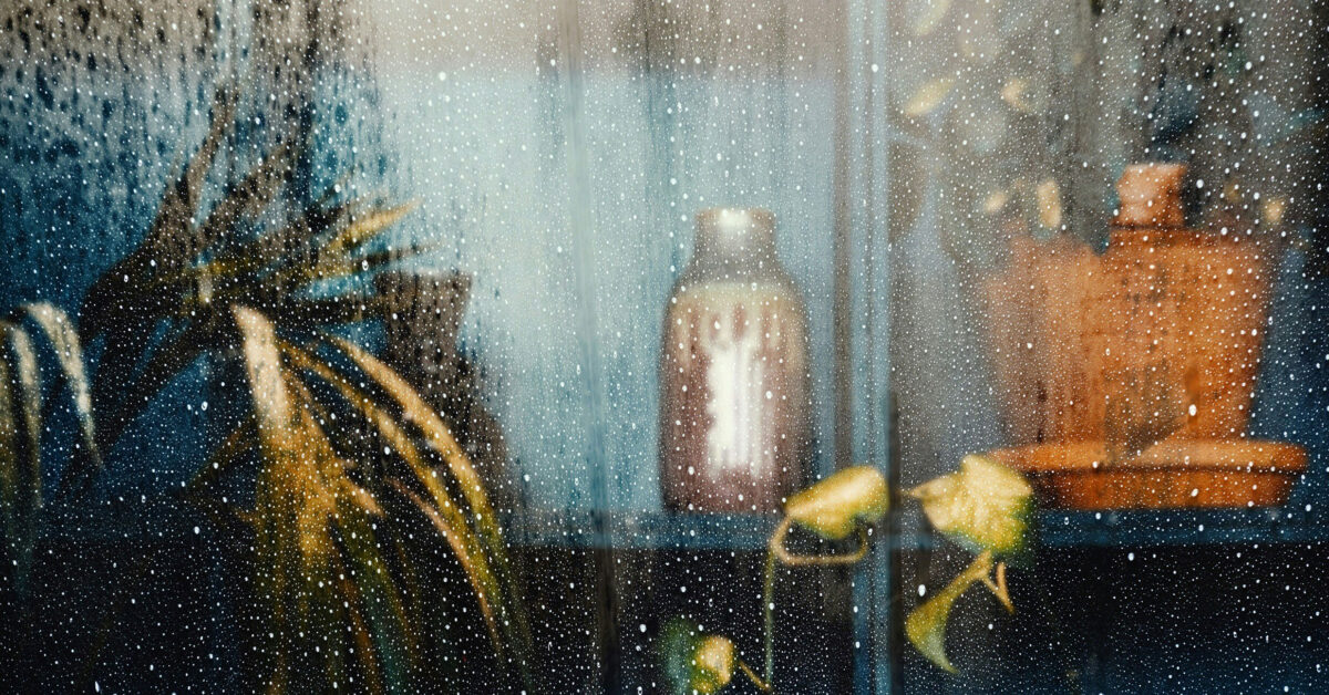 Astro Daily: November 20, 2024 – Empowering Astrology