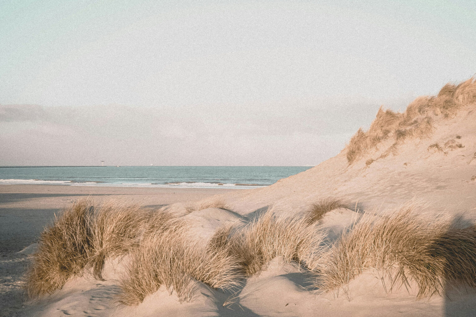 The Astrology of June 22, 2026 – Empowering Astrology